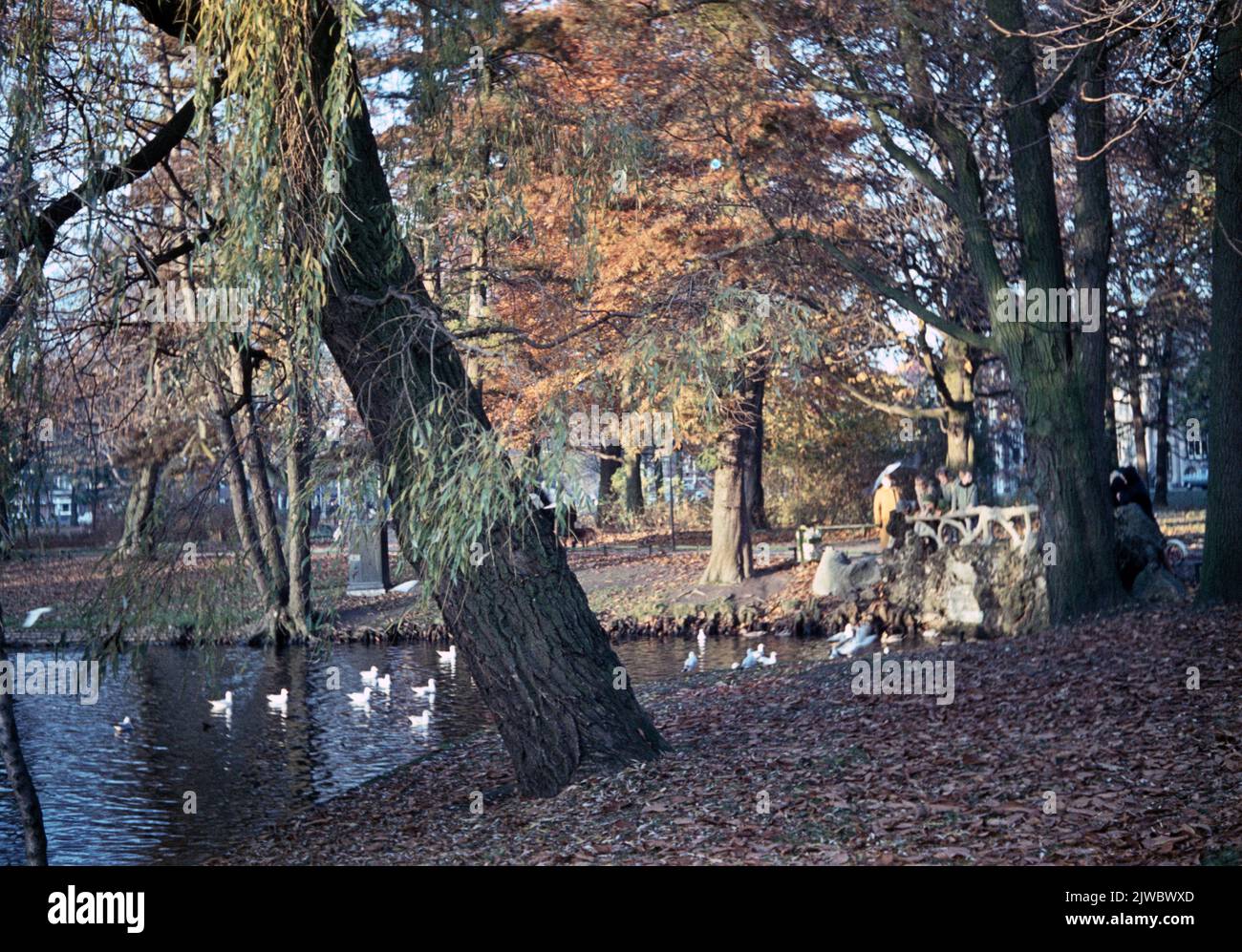View in the Wilhelminapark in Utrecht Stock Photo - Alamy