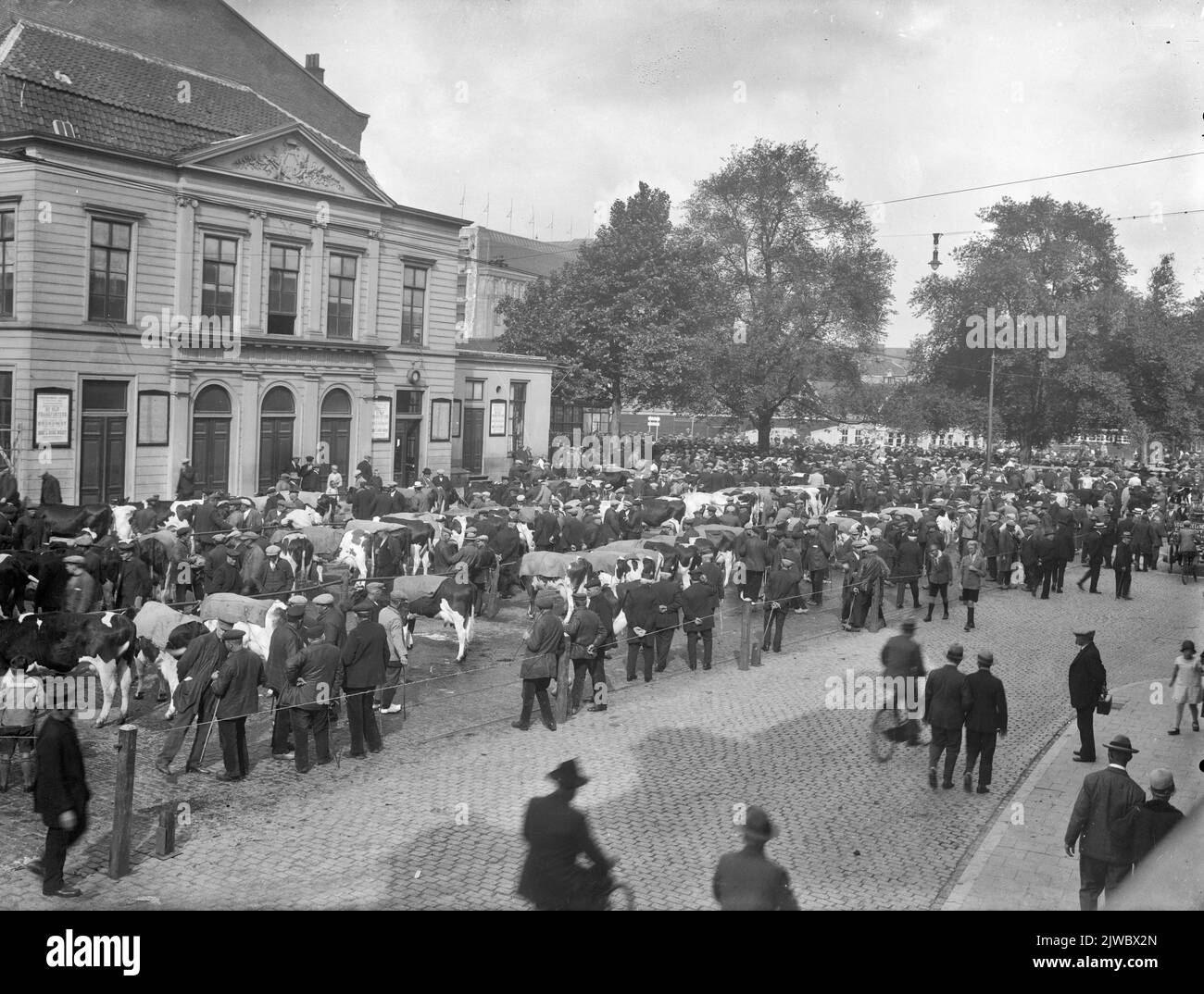 View of the Veemarkt on Vredenburg in Utrecht; On the left a part of ...
