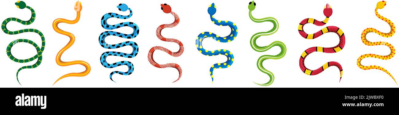 Set of colored snakes. Wild poisonous rattlesnakes. Tropical toxic ...