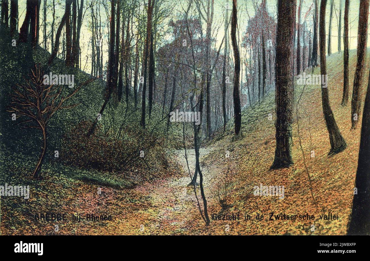 Face in the Swiss valley in the forest on the Grebbeberg in Grebbe ...