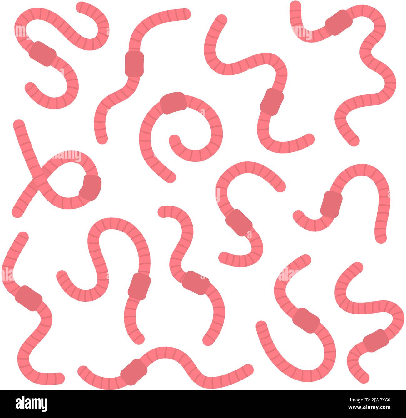 Set of pink curled earthworms. Invertebrate crawling worms illustration ...