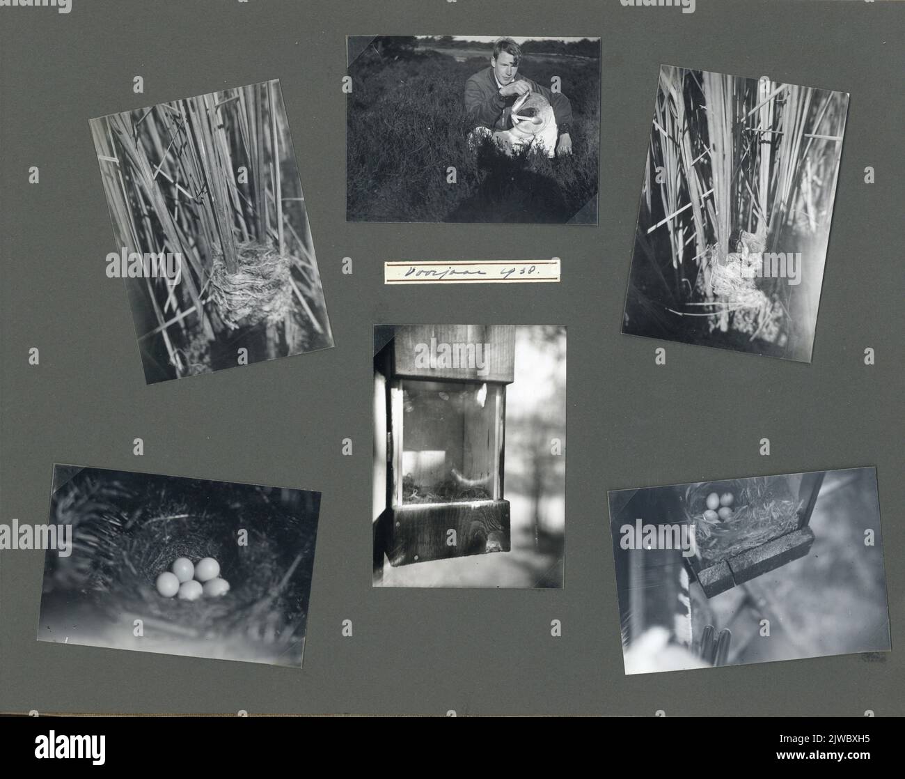 Image of a page from a photo album of scouting group Salwega from ...