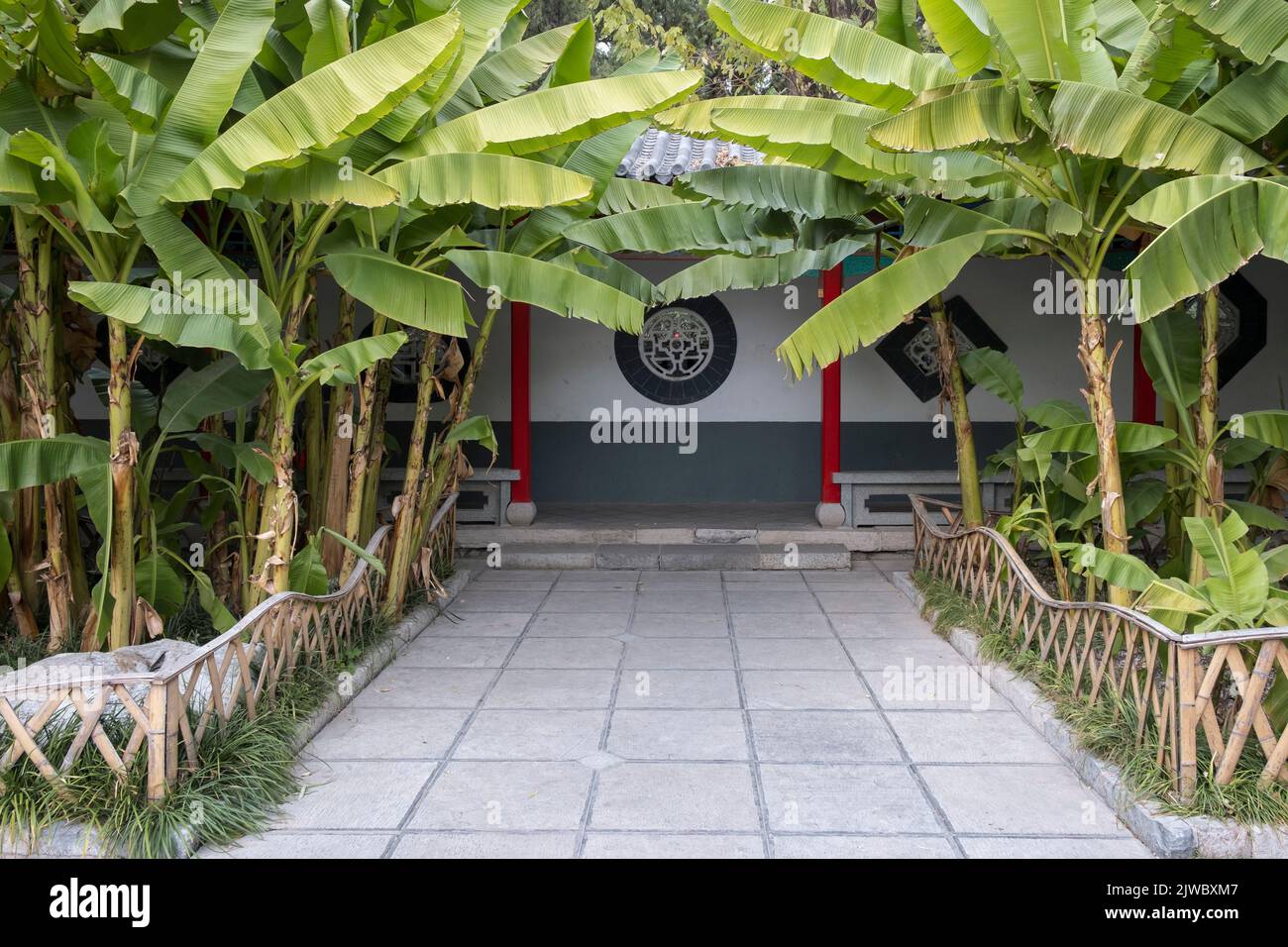 green plants and empty pathway in Chinese garden Stock Photo - Alamy