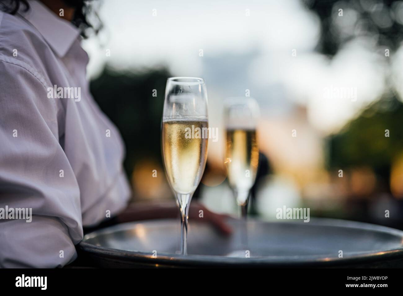 Luxury wine and CHAMPAGNE for fine dining with and glassware, beautiful ...