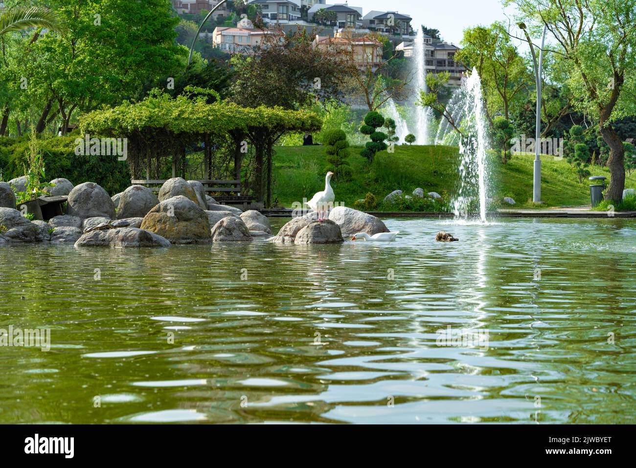 Lake in urban public park in Istanbul Stock Photo - Alamy