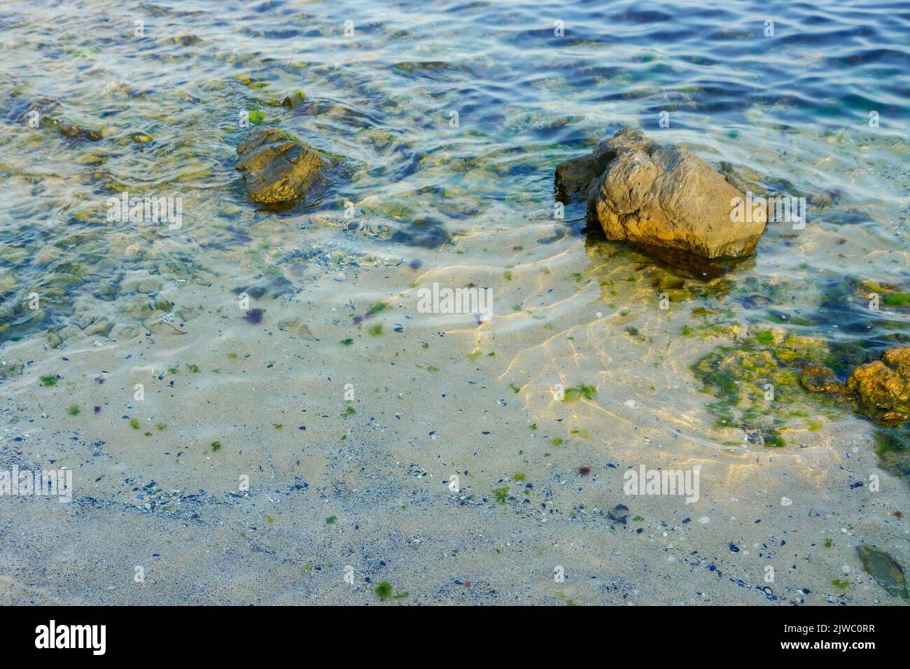 rocks in the water at the sea shore. nature background on the sandy ...