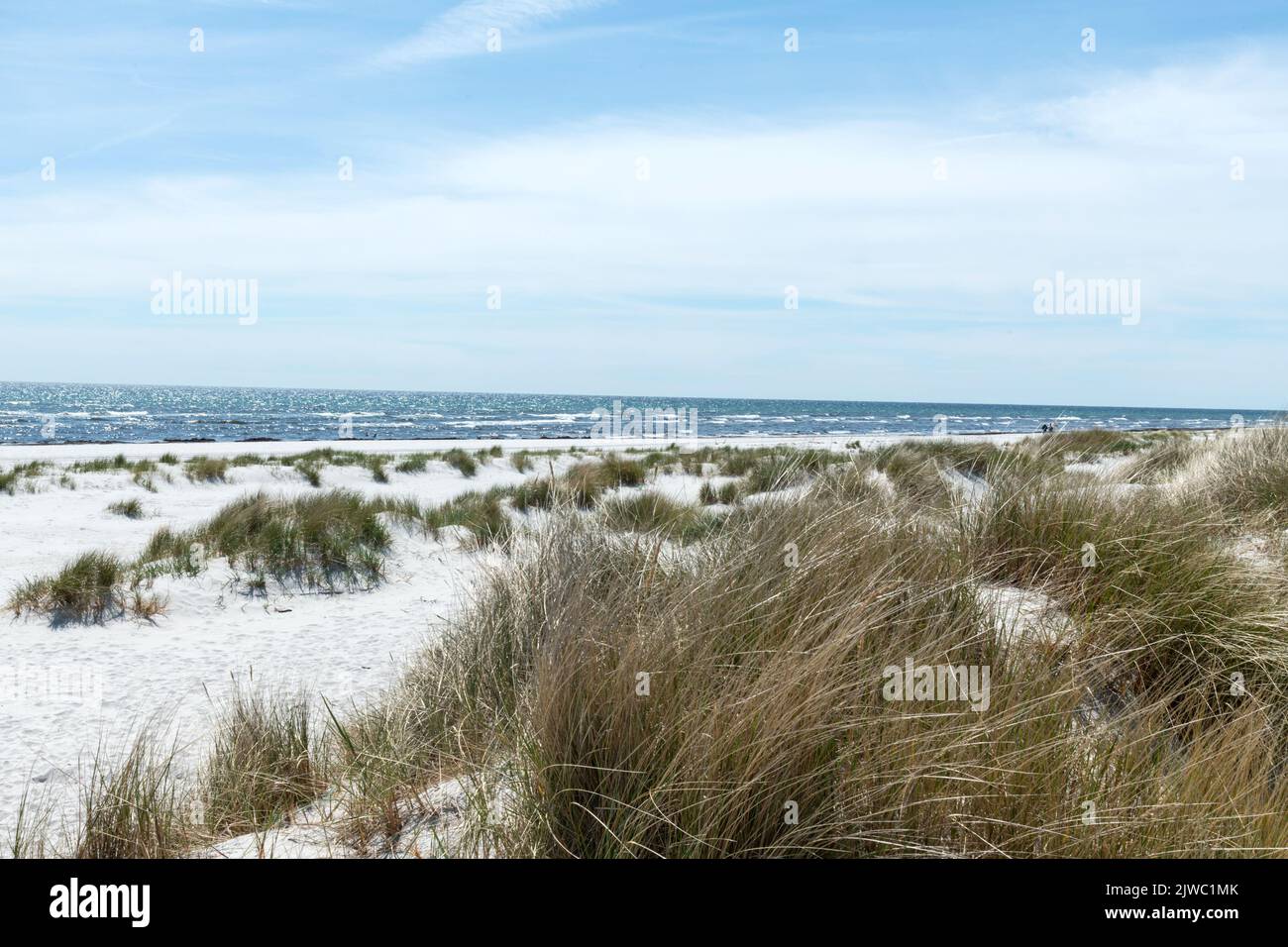 dune and white sands with lighthouse, Dueodde, isle of Bornholm Denmark ...