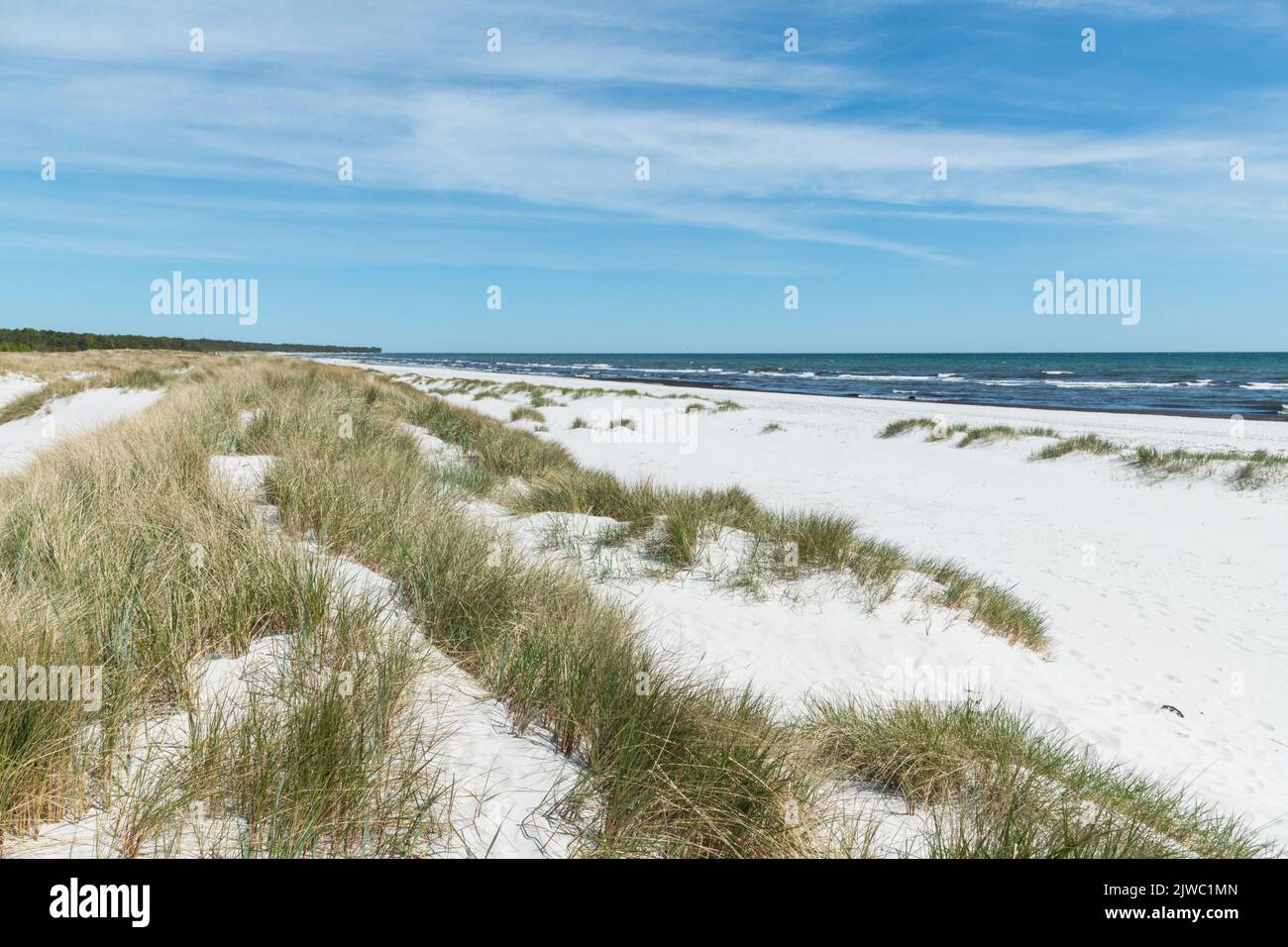 dune and white sands with lighthouse, Dueodde, isle of Bornholm Denmark ...