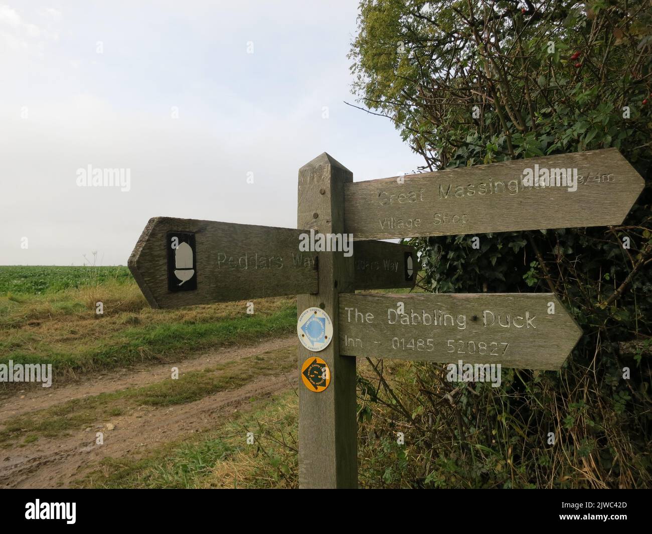 The Peddars Way National Trail long distance footpath. Norfolk. England ...