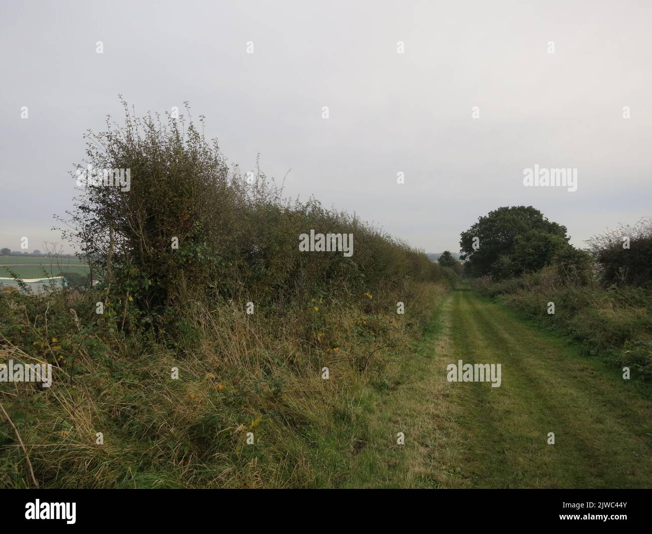 The Peddars Way National Trail long distance footpath. Norfolk. England ...