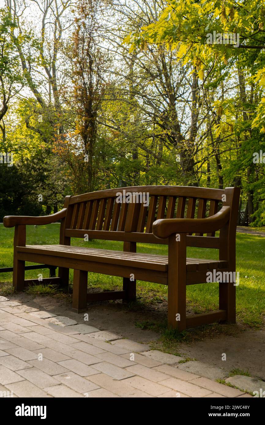 Green wooden bench in the park on sunny day in autumn spring summer ...