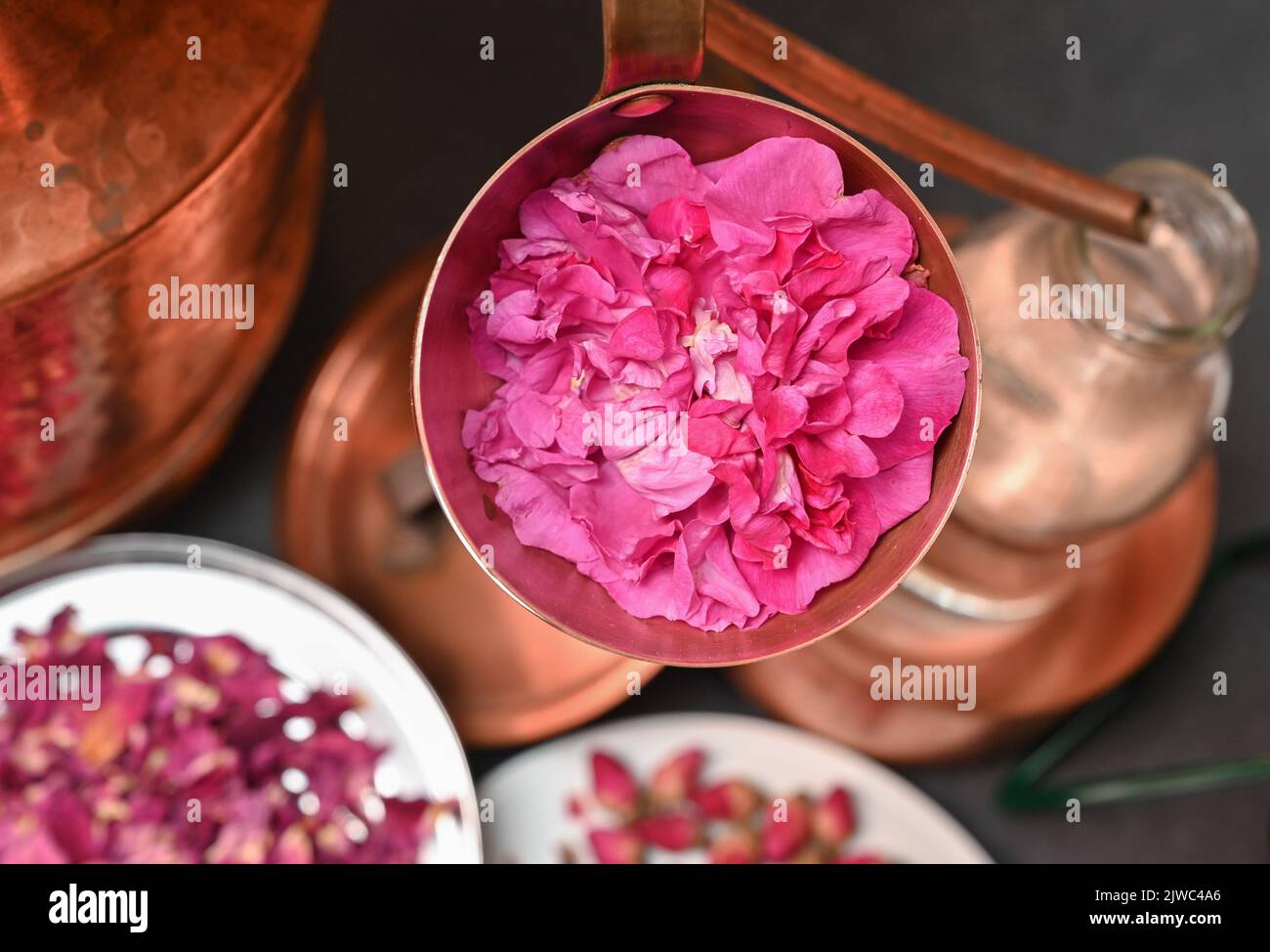 Uckerose hi-res stock photography and images - Alamy