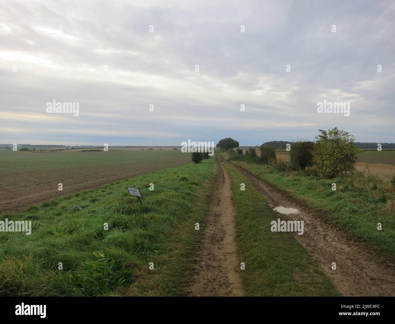 The Peddars Way National Trail long distance footpath. Norfolk. England ...