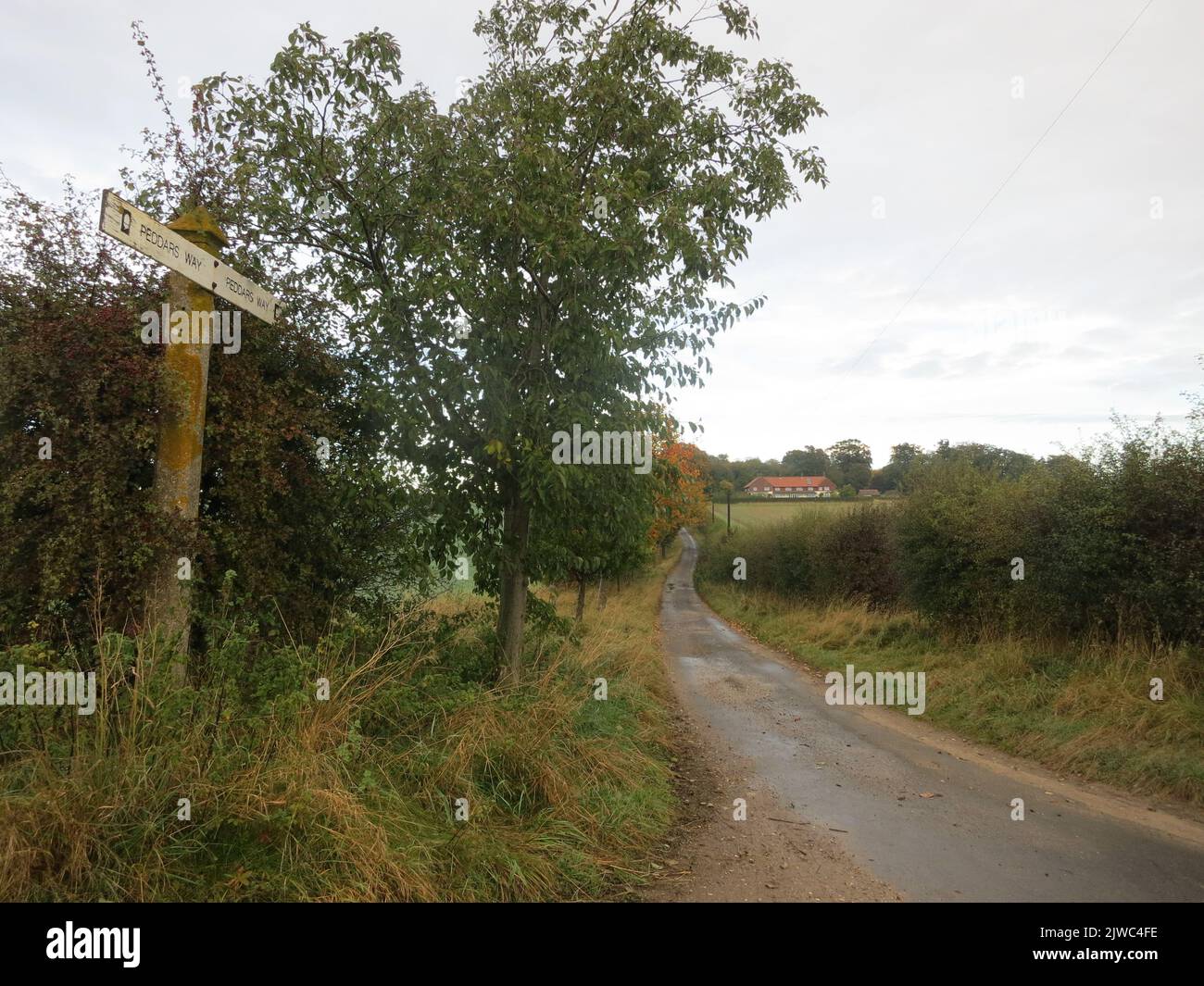 The Peddars Way National Trail long distance footpath. Norfolk. England ...