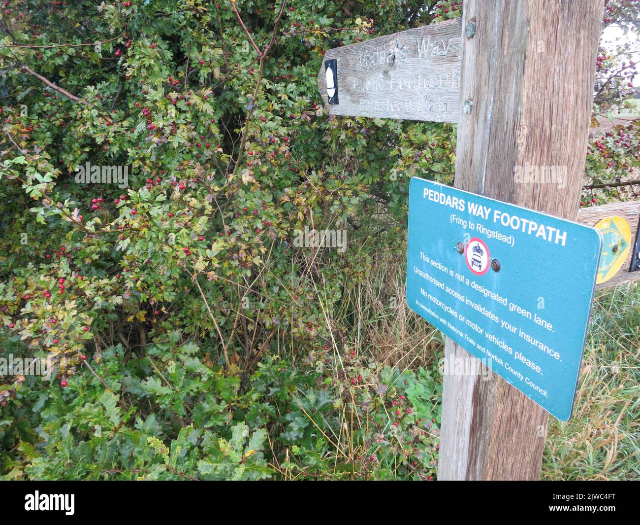 The Peddars Way National Trail long distance footpath. Norfolk. England ...