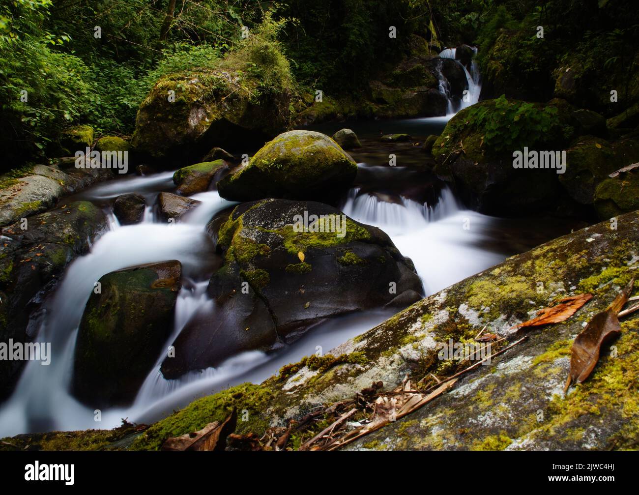 A foamy waterfall flowing through green algal rocks, long exposure ...