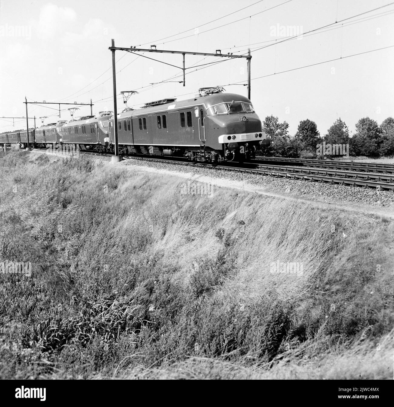 T nos Black and White Stock Photos & Images - Alamy