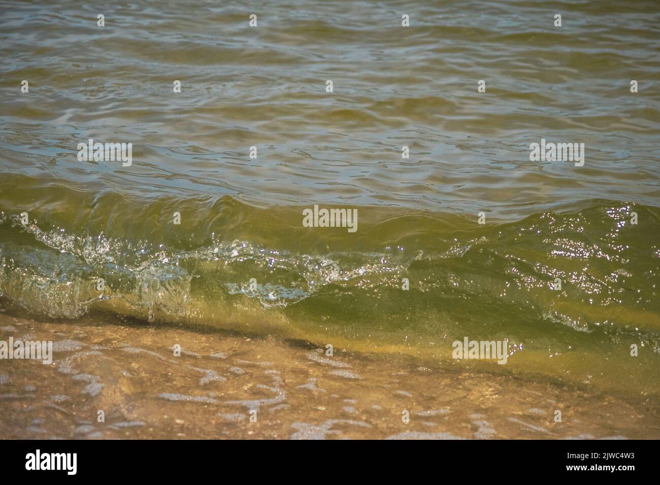 A scenic shot of a sea wave rolling on the shore of a beach Stock Photo ...