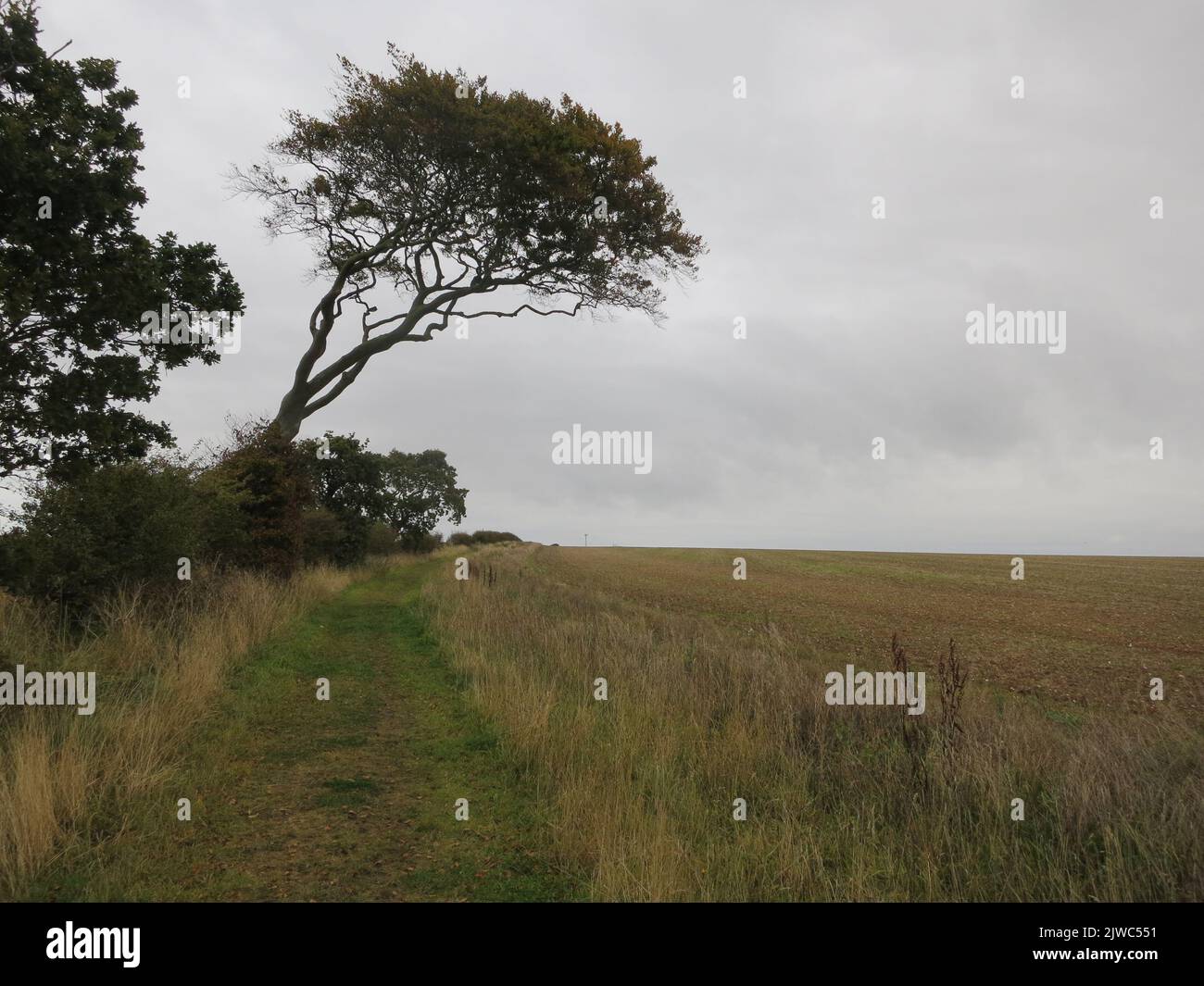Norfolk Coast Path National Trail long-distance footpath. AONB. Norfolk ...