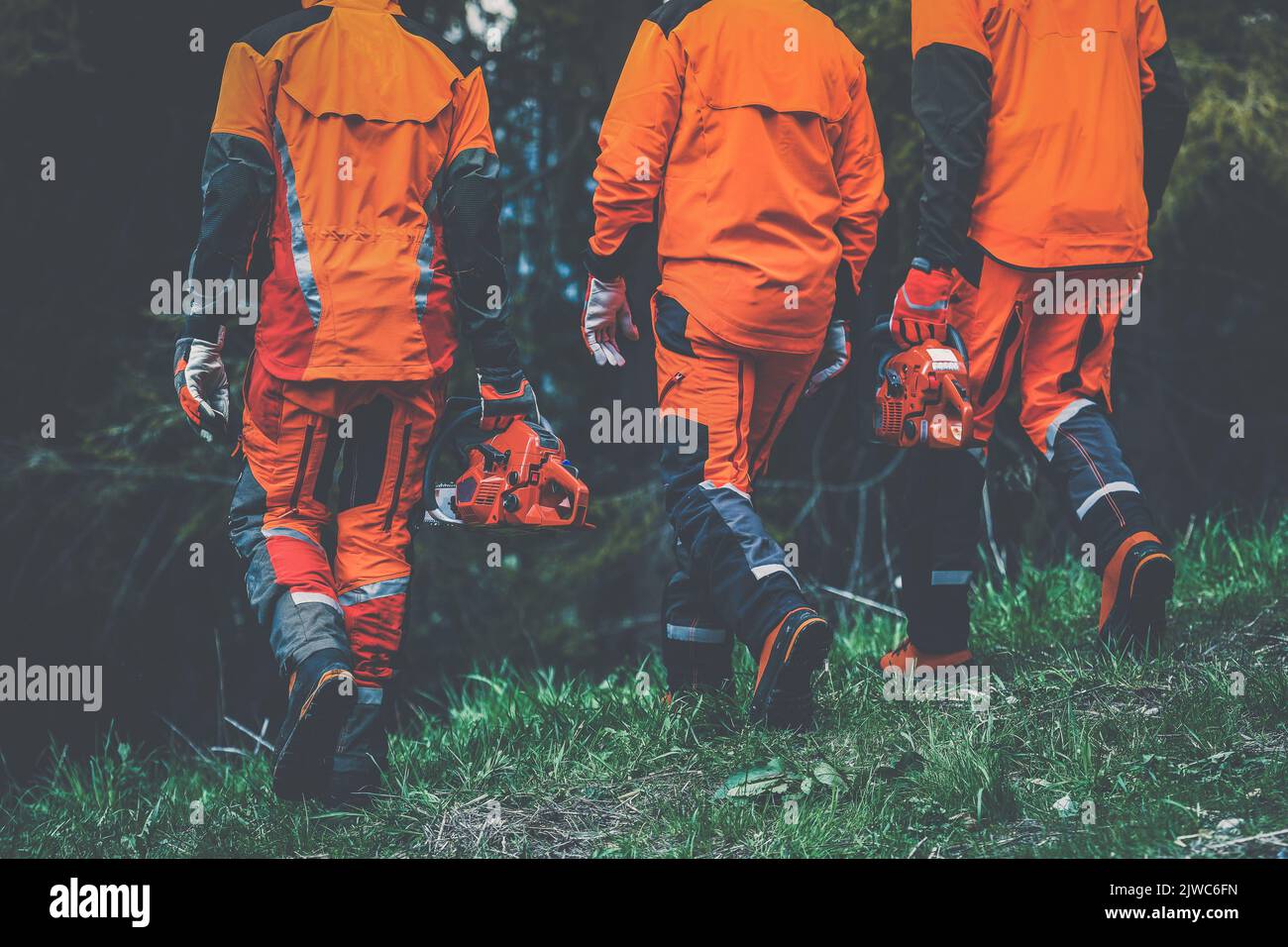 Garden tools arm hi-res stock photography and images - Alamy