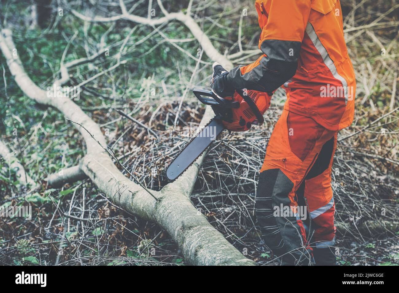 Forestry clearing saws hi-res stock photography and images - Alamy