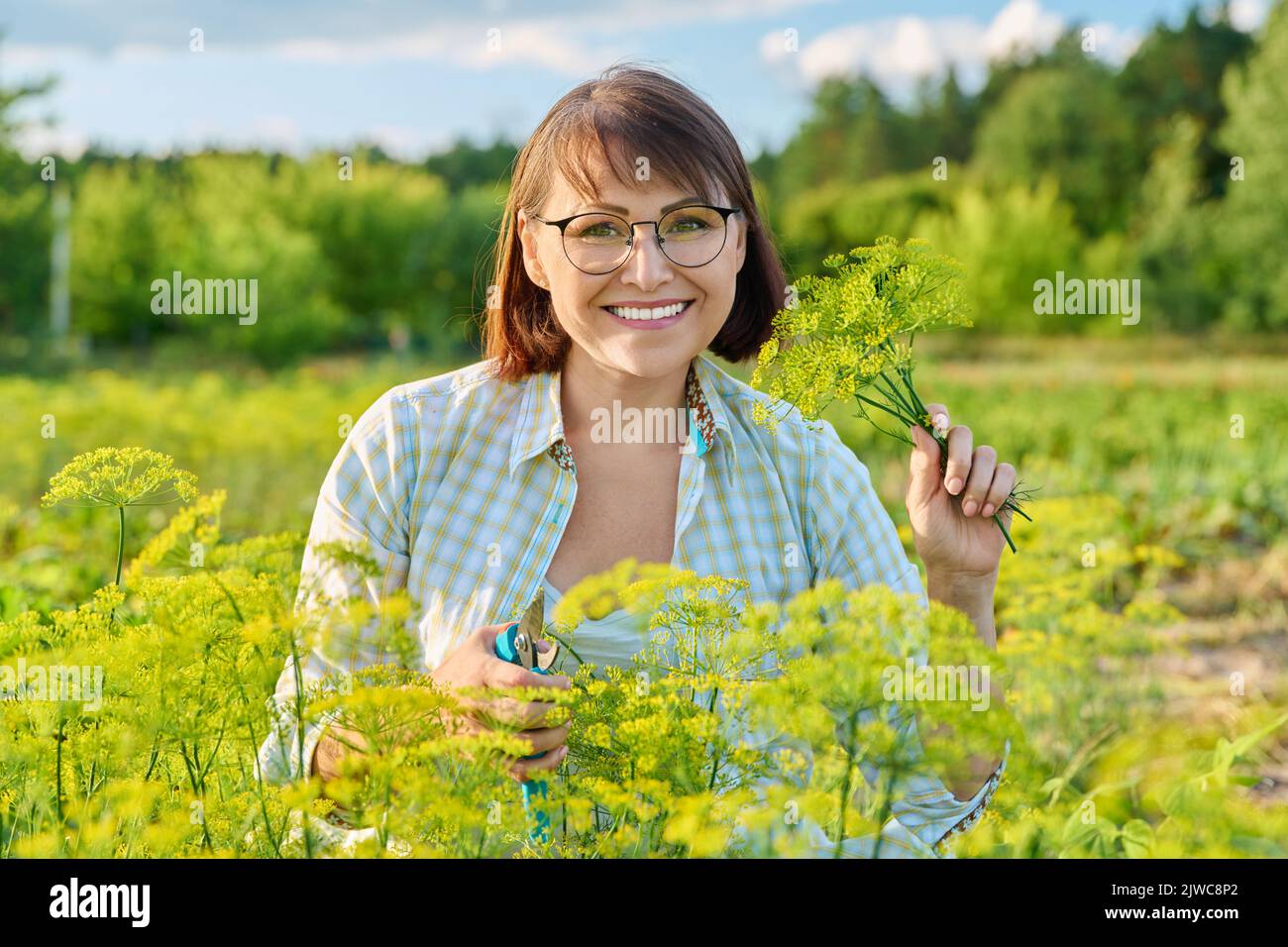 Smiling middle-aged female with pruner picking branches of flowering ...