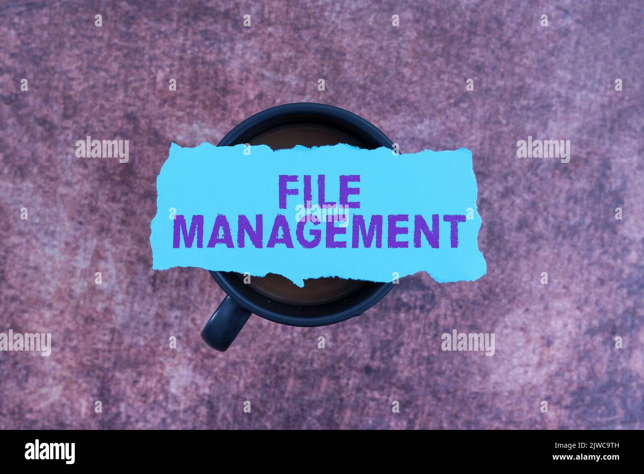 Inspiration showing sign File Managementcomputer program that provides ...