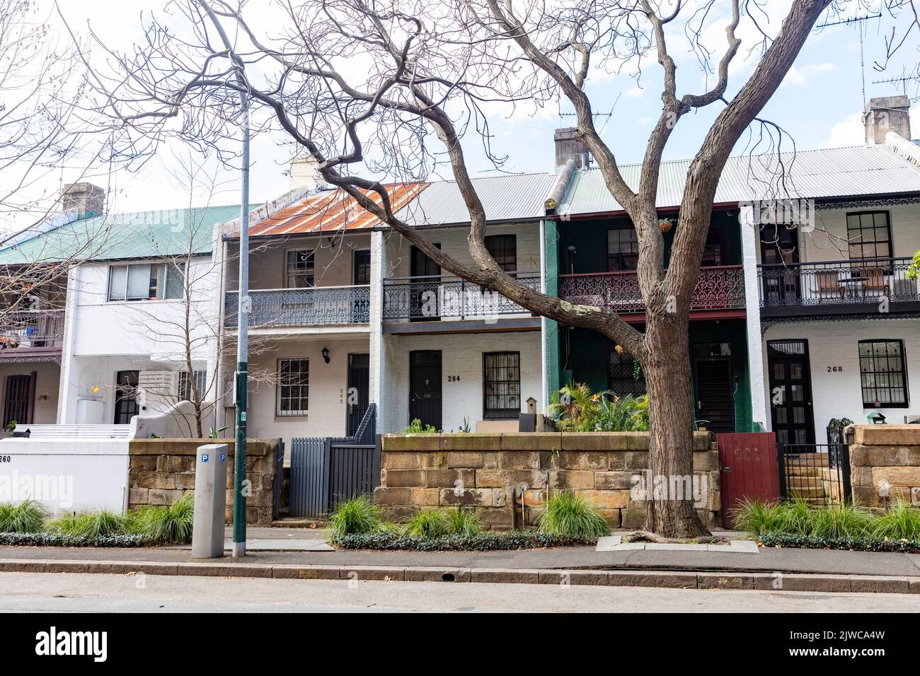 Pyrmont in Sydney, traditional terraced Sydney homes on Harris street ...