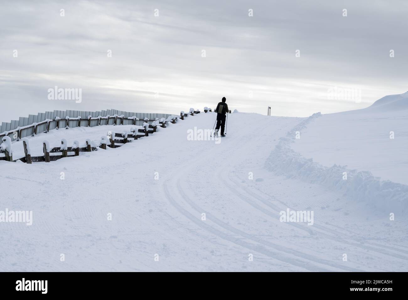 Tourist wearing snowshoe walking on the snow Stock Photo - Alamy