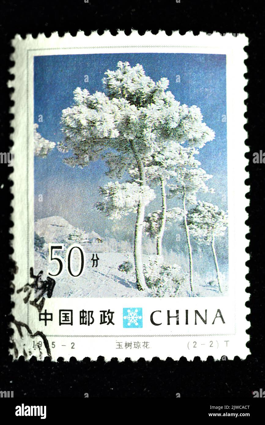 CHINA - CIRCA 1995: A stamp printed in China shows Rime in Jilin Trees ...