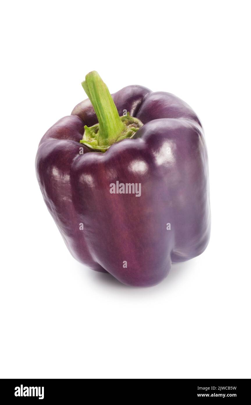John pepper Cut Out Stock Images & Pictures - Alamy