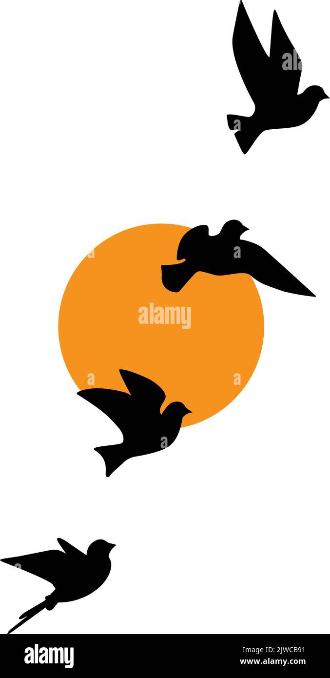 Flying birds on sunset, vector. Flying birds silhouettes isolated on ...