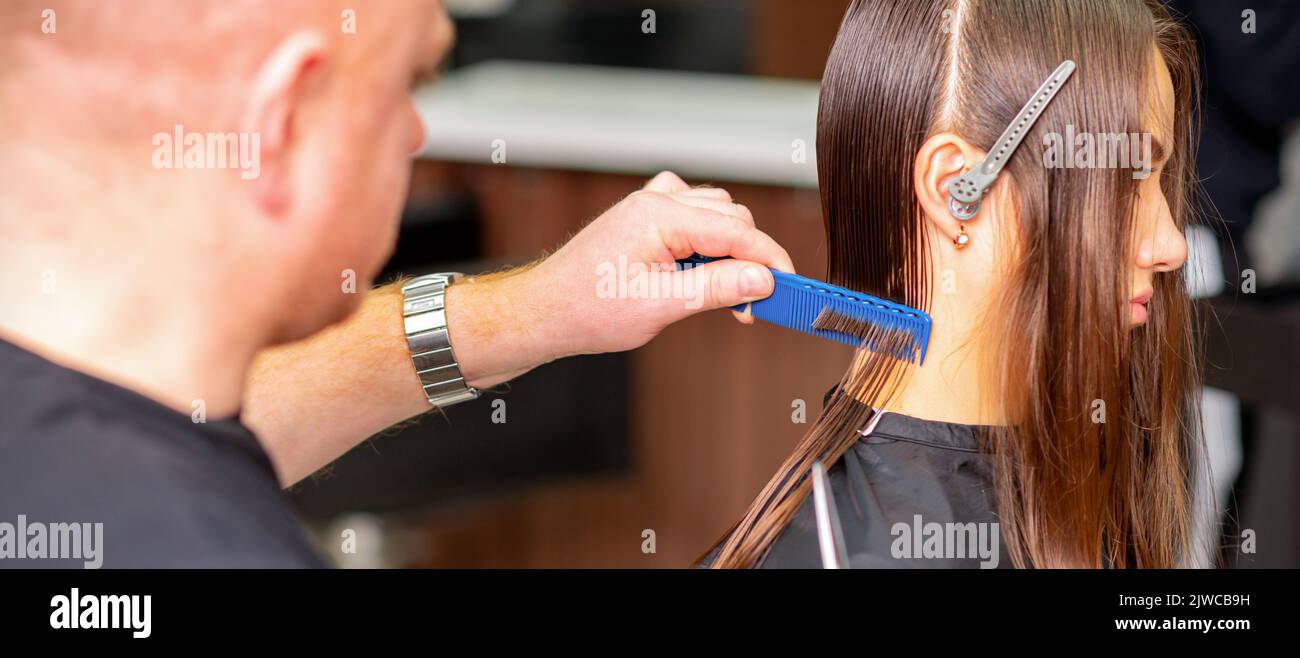 Hairdresser divides long hair into sections with the comb of a young ...