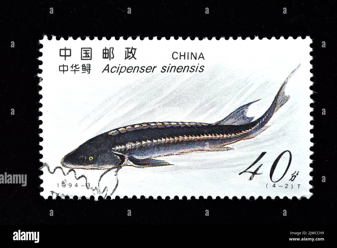 CHINA - CIRCA 1994: A stamp printed in China showsSturgeon Acipenser ...
