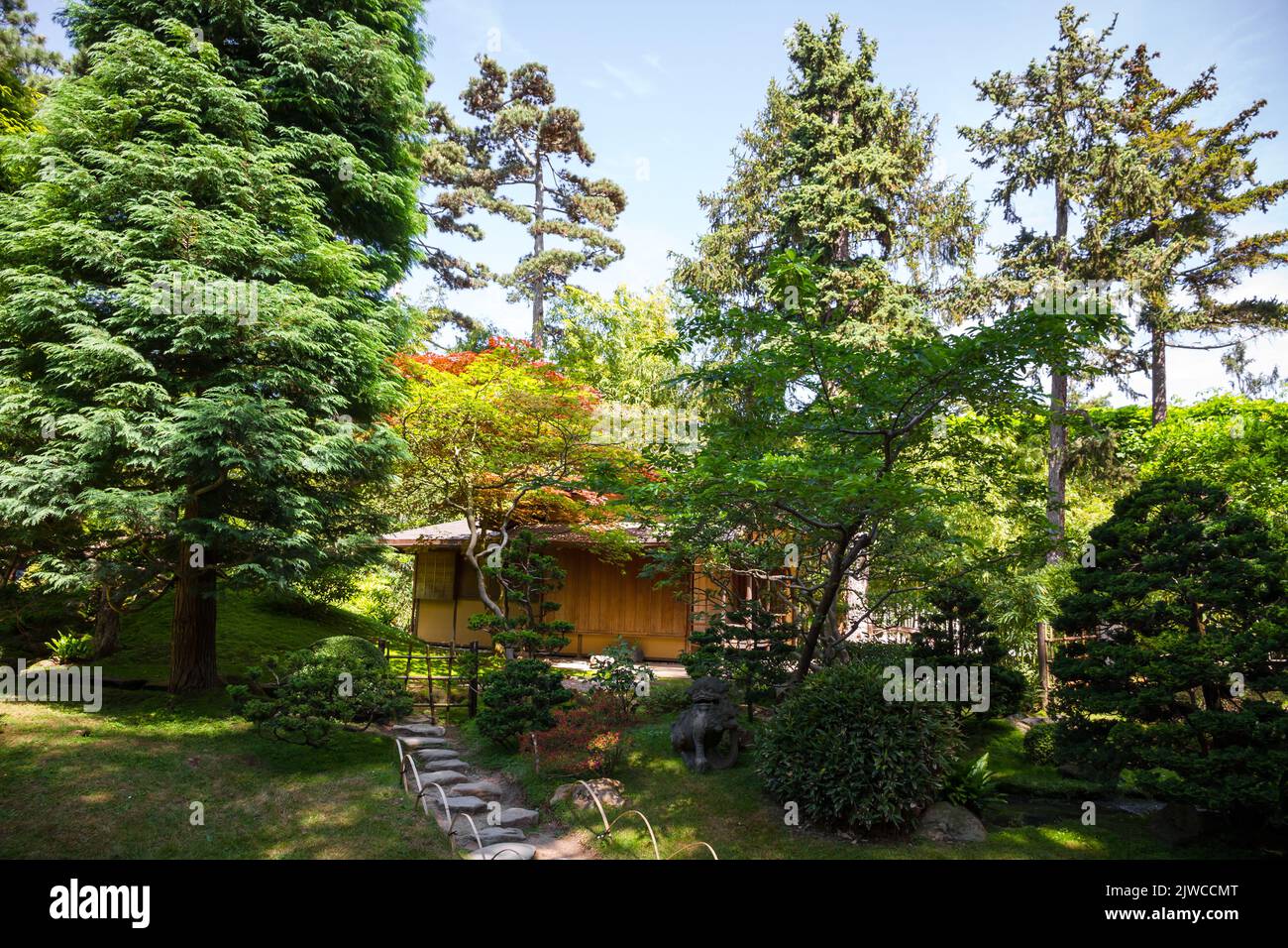 Old traditional zen leaves hi-res stock photography and images - Alamy