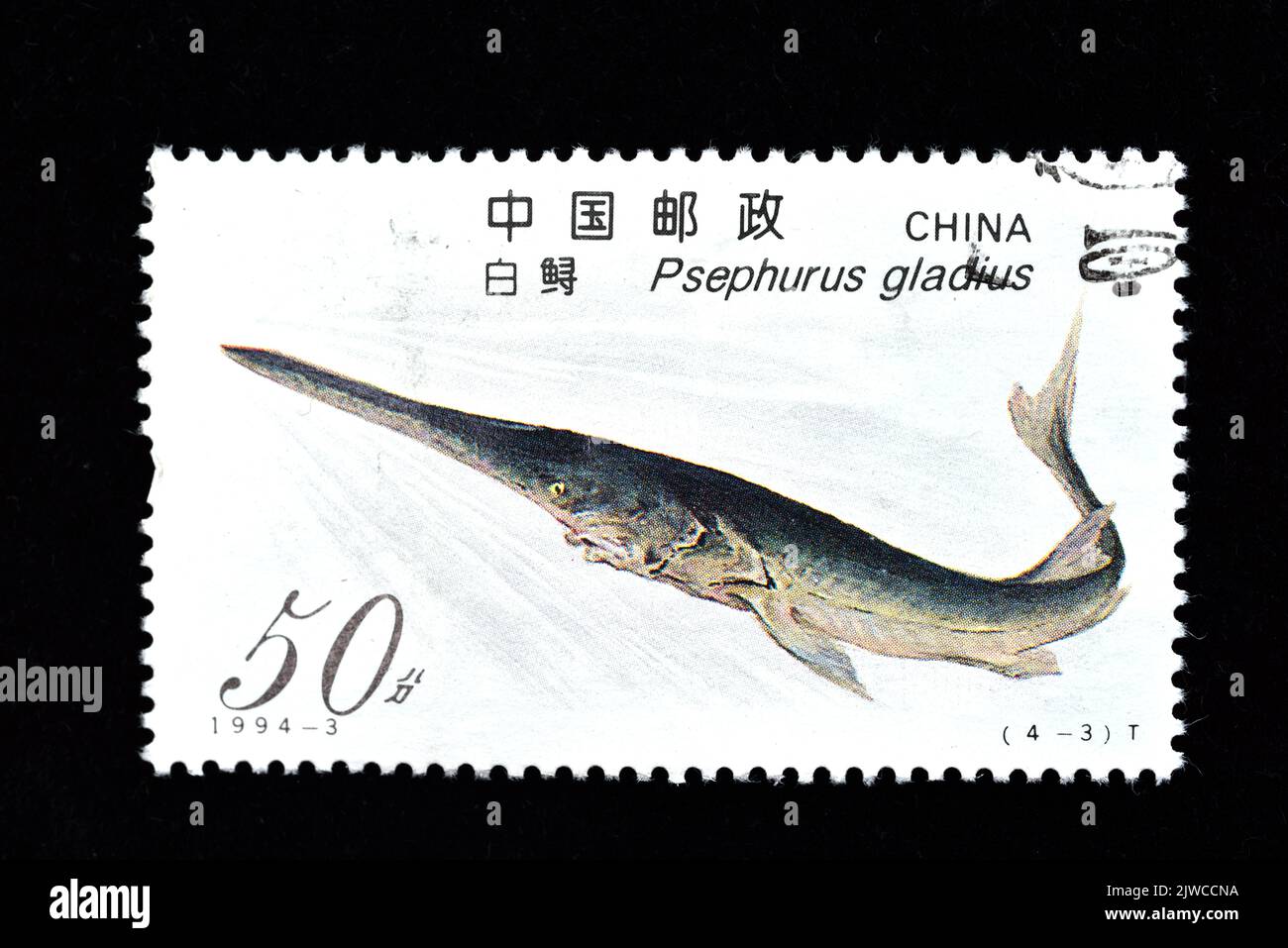 CHINA - CIRCA 1994: A stamp printed in China showsSturgeon Psephurus ...