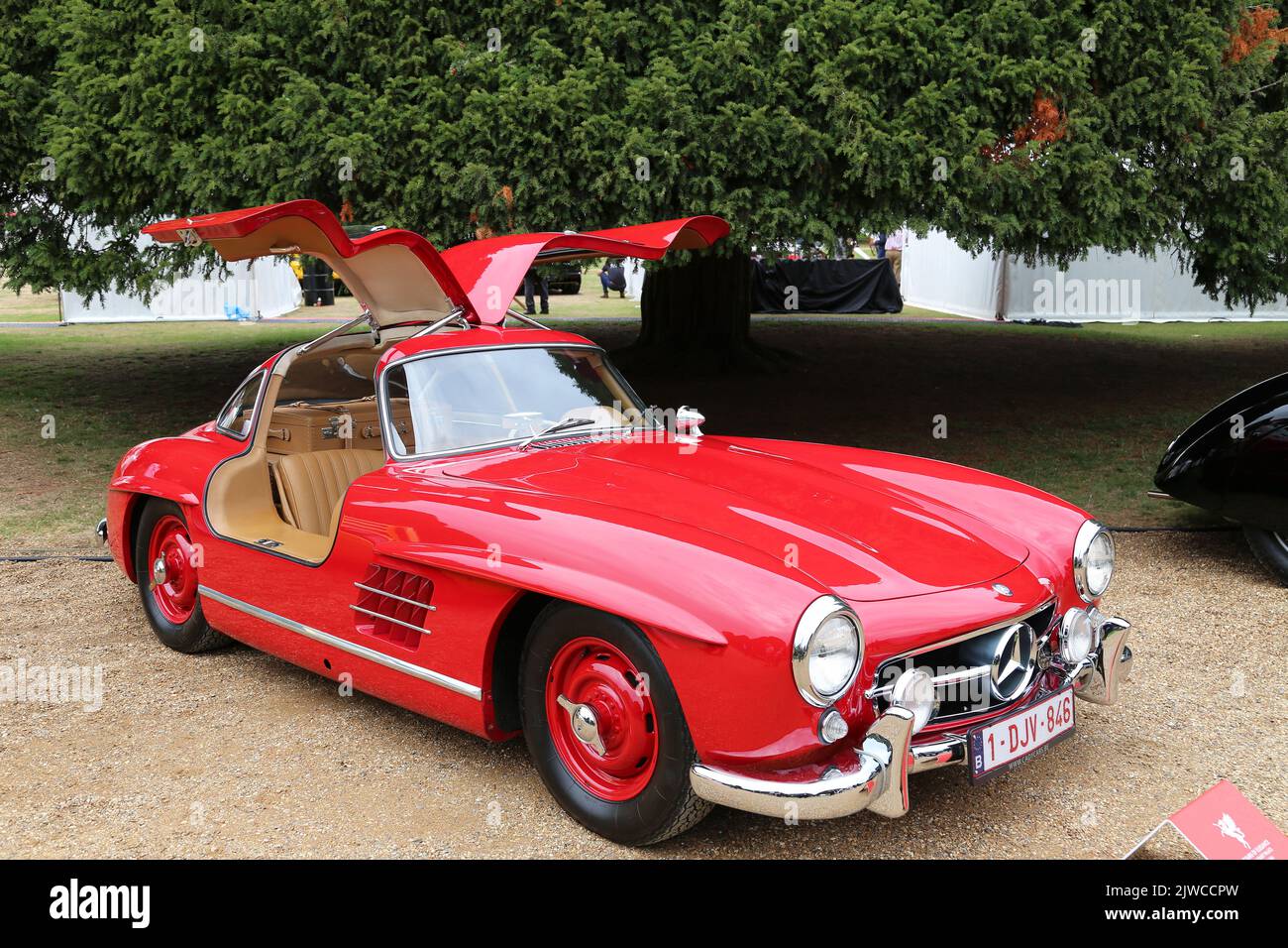 Mercedes-Benz 300 SL Coupe (1955). Concours of Elegance 2022, Hampton ...