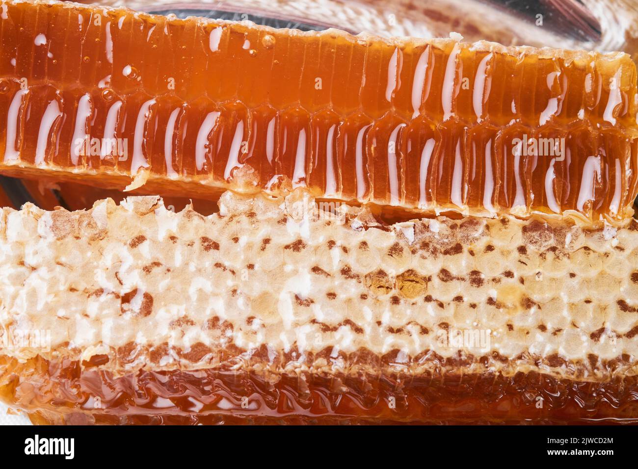 Honeycombs. Rosh Hashanah. Honeycomb in in a rustic plate. Bizarre ...