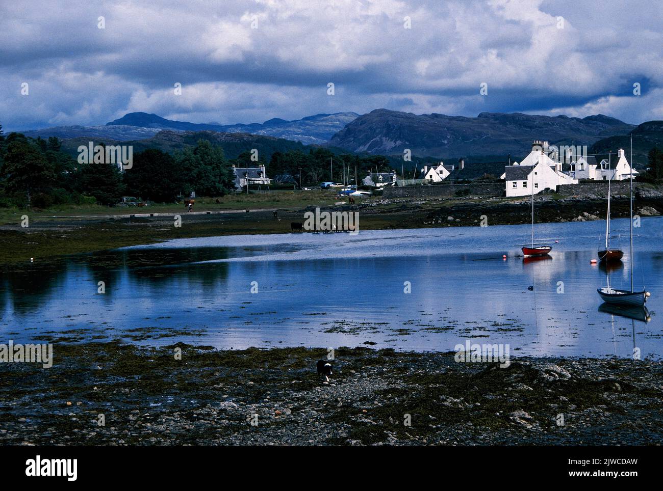 Plockton, Wester Ross, Scotland Stock Photo - Alamy