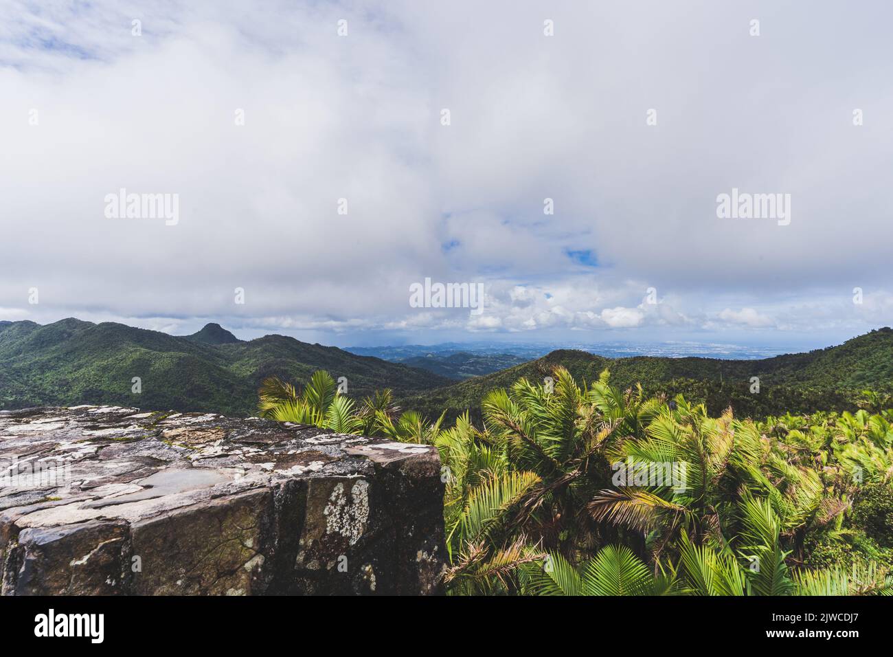 Panoramic view of El Yunque National Forest, Puerto Rico. Luquillo ...