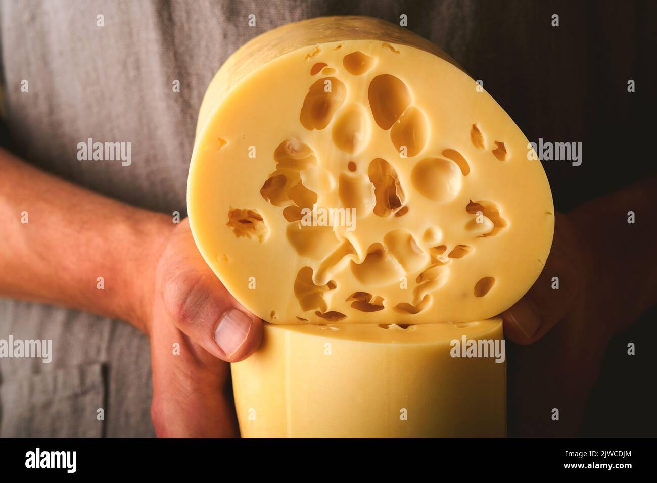 Hands of man hold two big slices of cheese maasdam against background ...