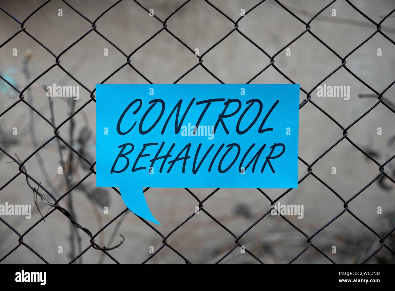 Conceptual caption Control BehaviourExercise of influence and authority ...