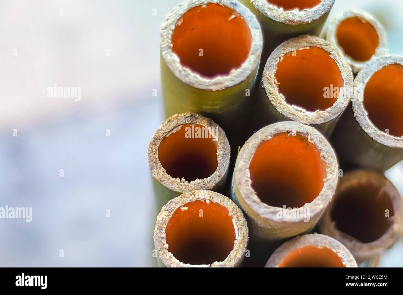 Bamboo sections arranged neatly in preparation to cook sticky rice ...