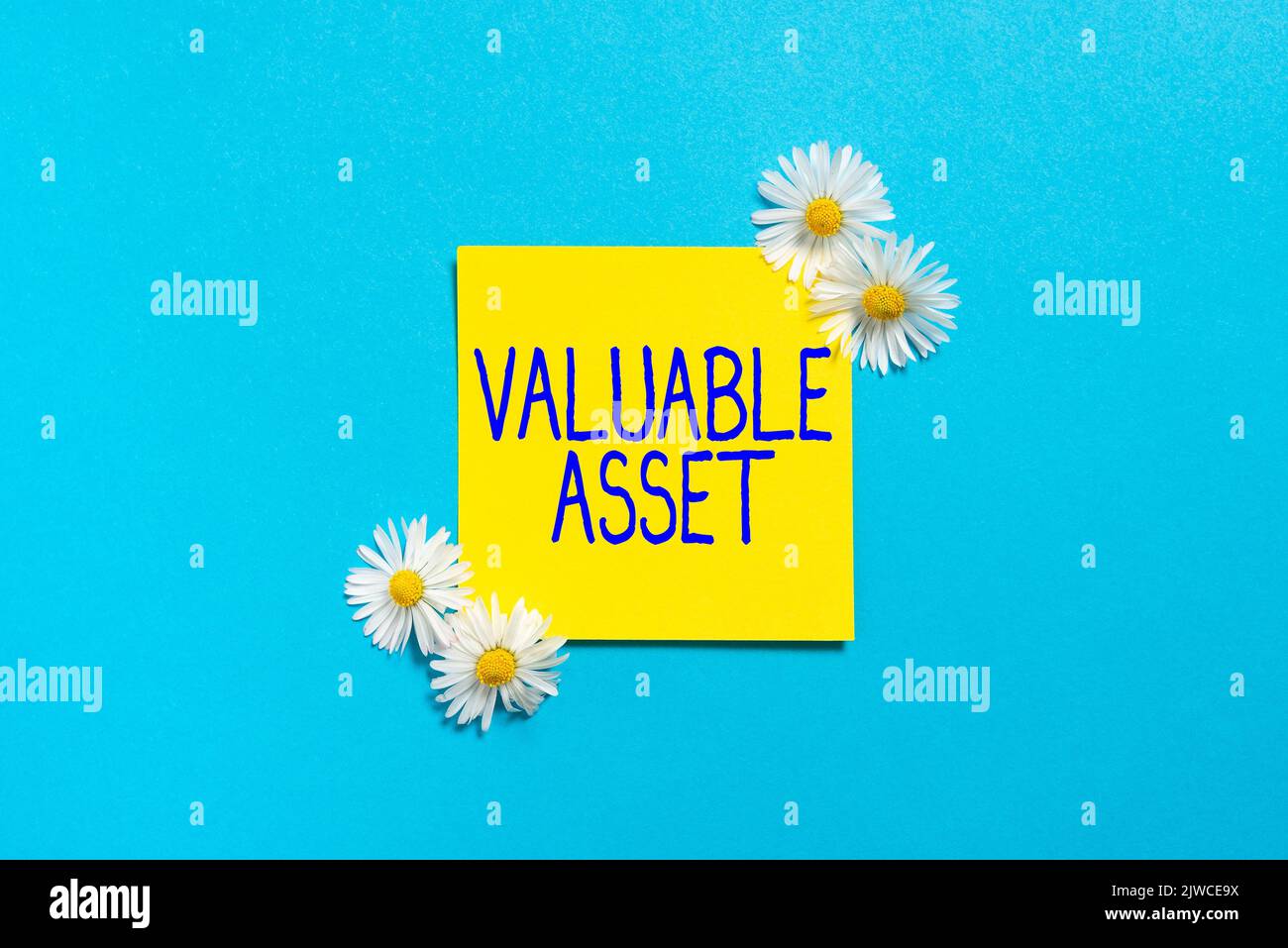 Conceptual display Valuable AssetYour most valuable asset is your ...