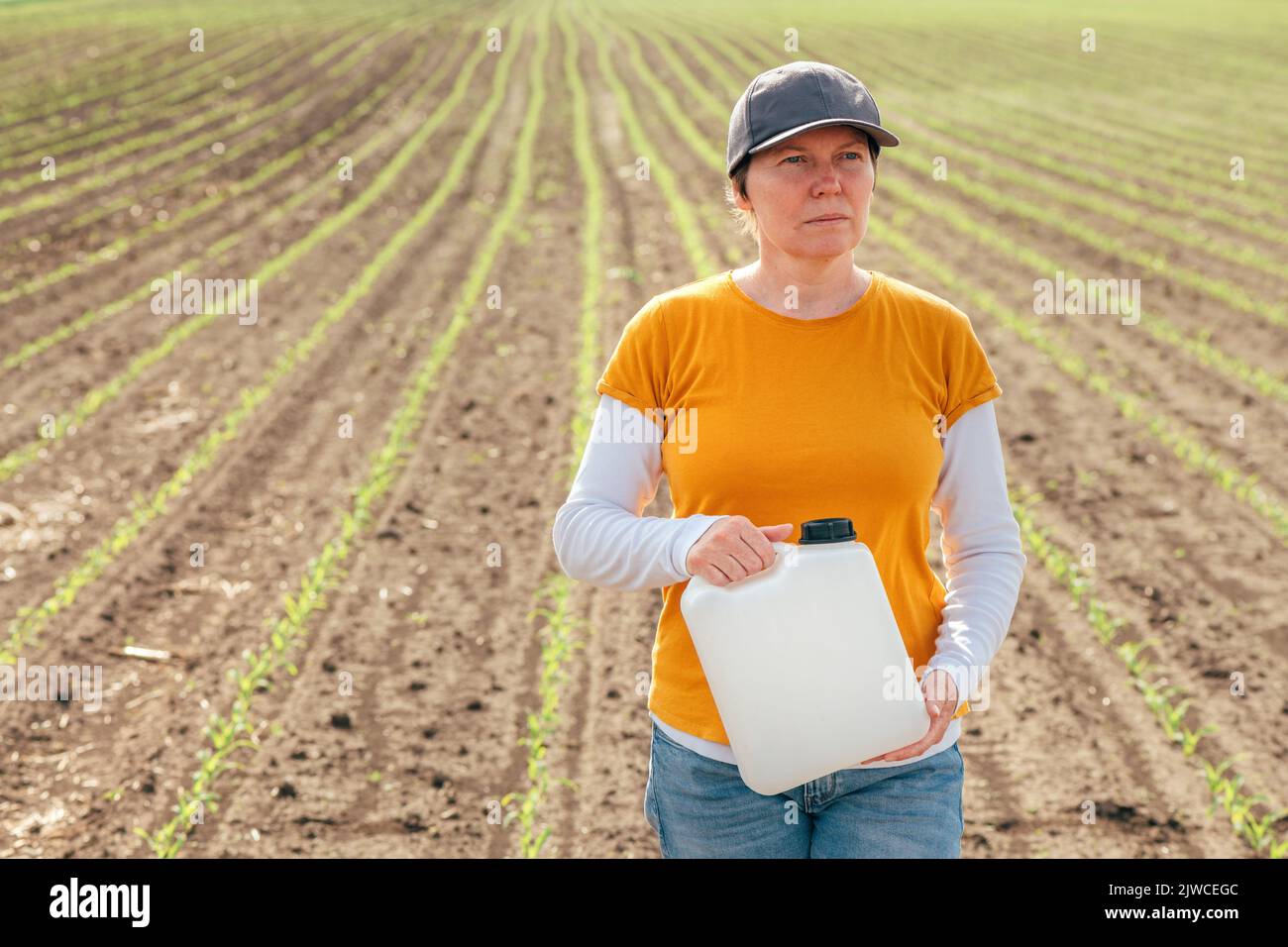 Corn crop protection concept, female farmer agronomist holding jerry ...