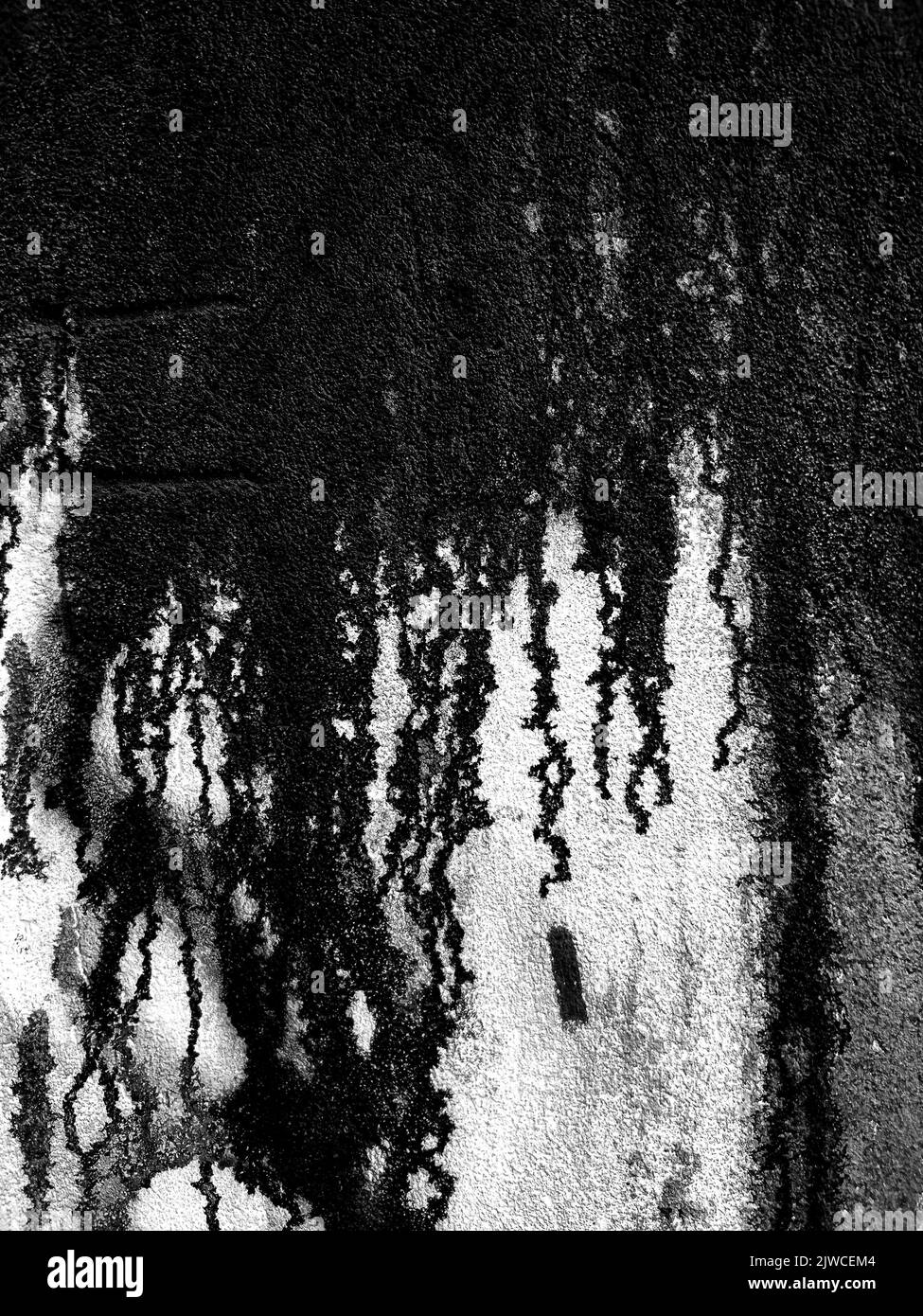 Grunge texture, paint splatter and spill on the wall, black and white ...