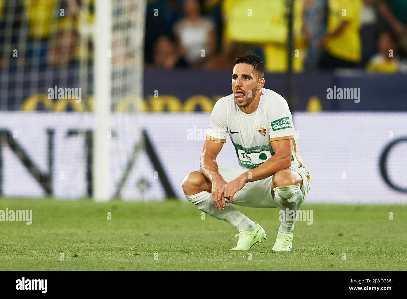 Pedro bigas elche hi-res stock photography and images - Alamy