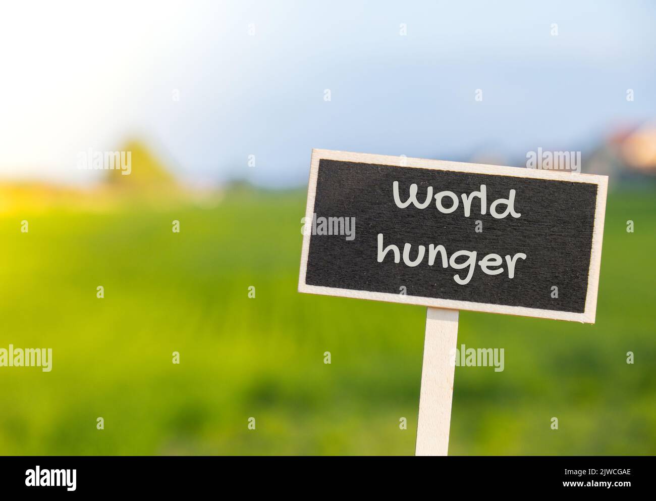 Wooden information label sign with text WORLD HUNGER against defocused ...