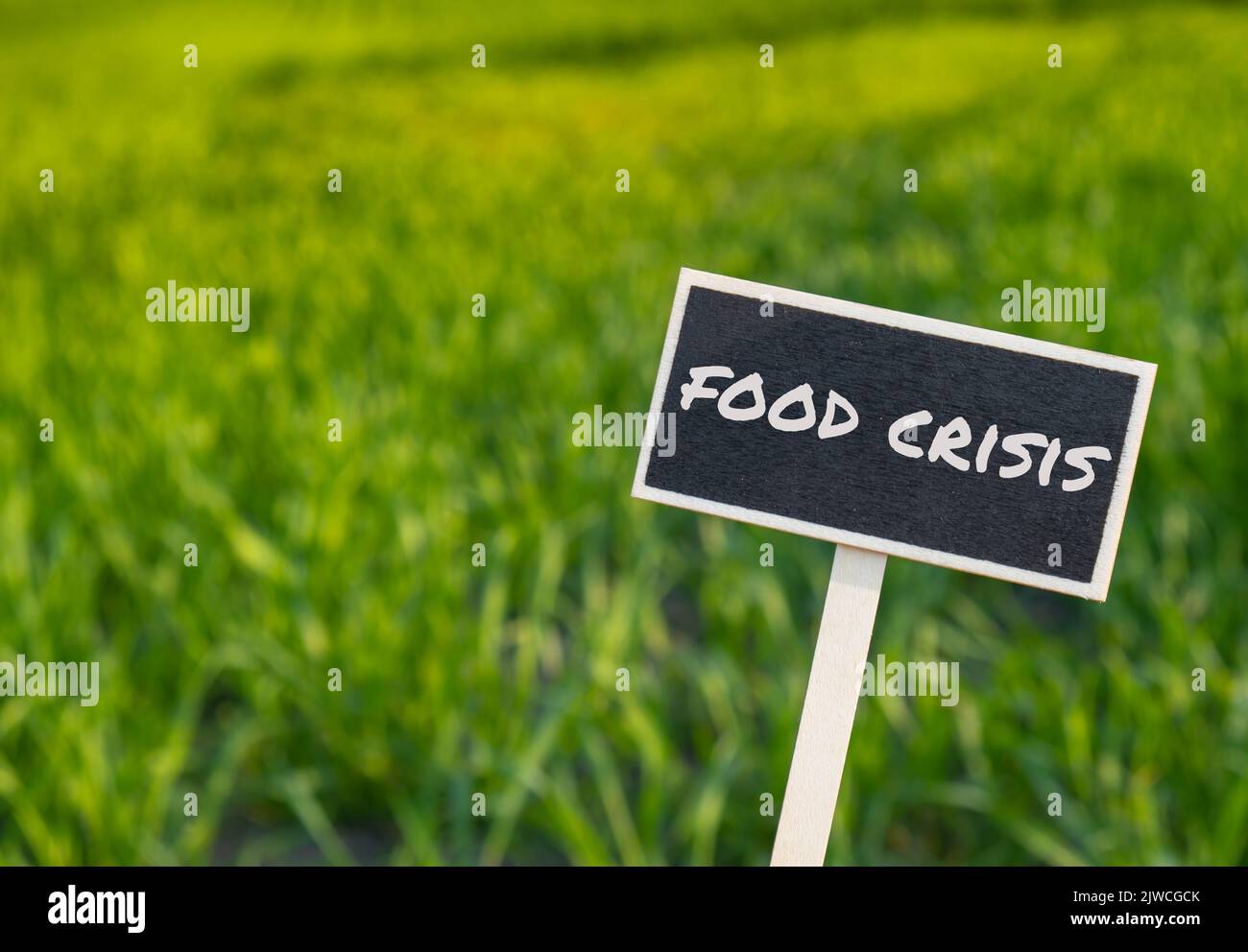 Wooden information label sign with text FOOD CRISIS against defocused ...