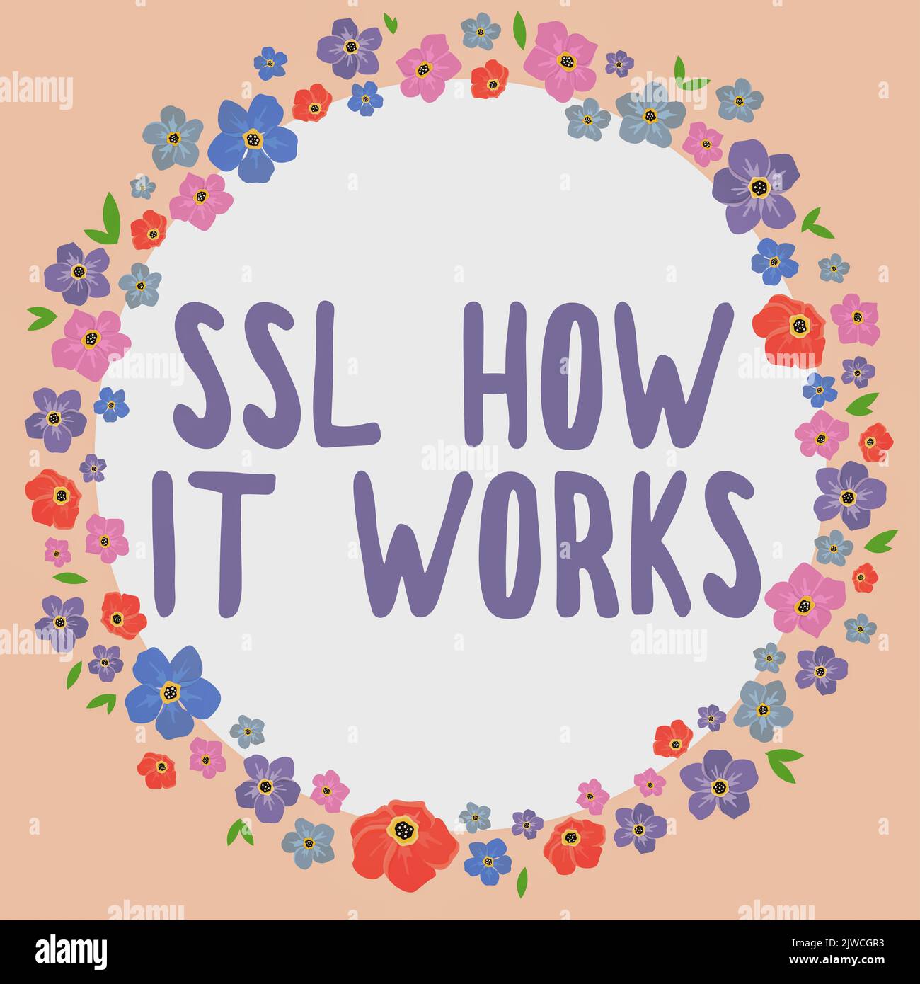 Conceptual caption Ssl How It Workssession key is used to encrypt all ...